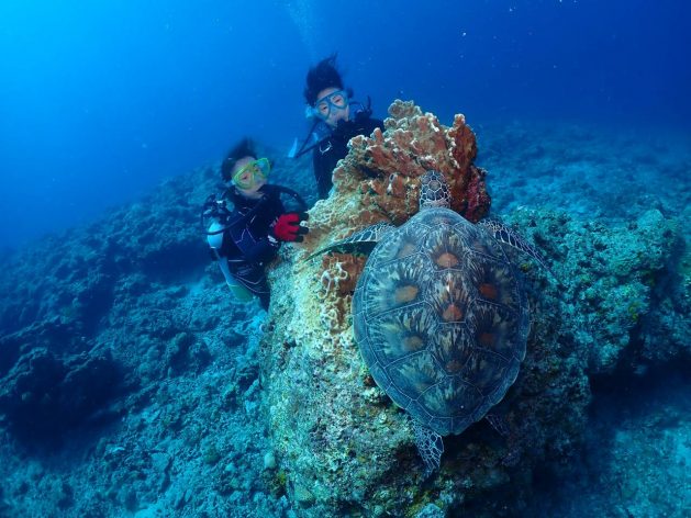 本日は、ウミガメ体験ダイビングです！！ - 石垣島ダイビングショップ【ナビィダイビング石垣島】
